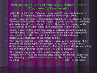 Viper Bite An Overview | PPT