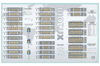 vipi-carta-molde-biolux.pdf