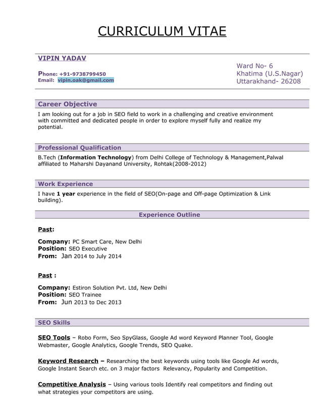 Vipin Seo Resume | Seo Resume Sample Format | PDF