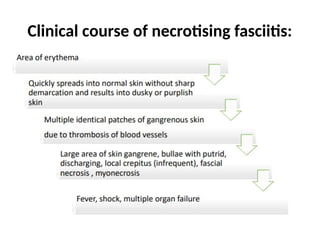 Clinical approach and principle of management of cellulitis and ...