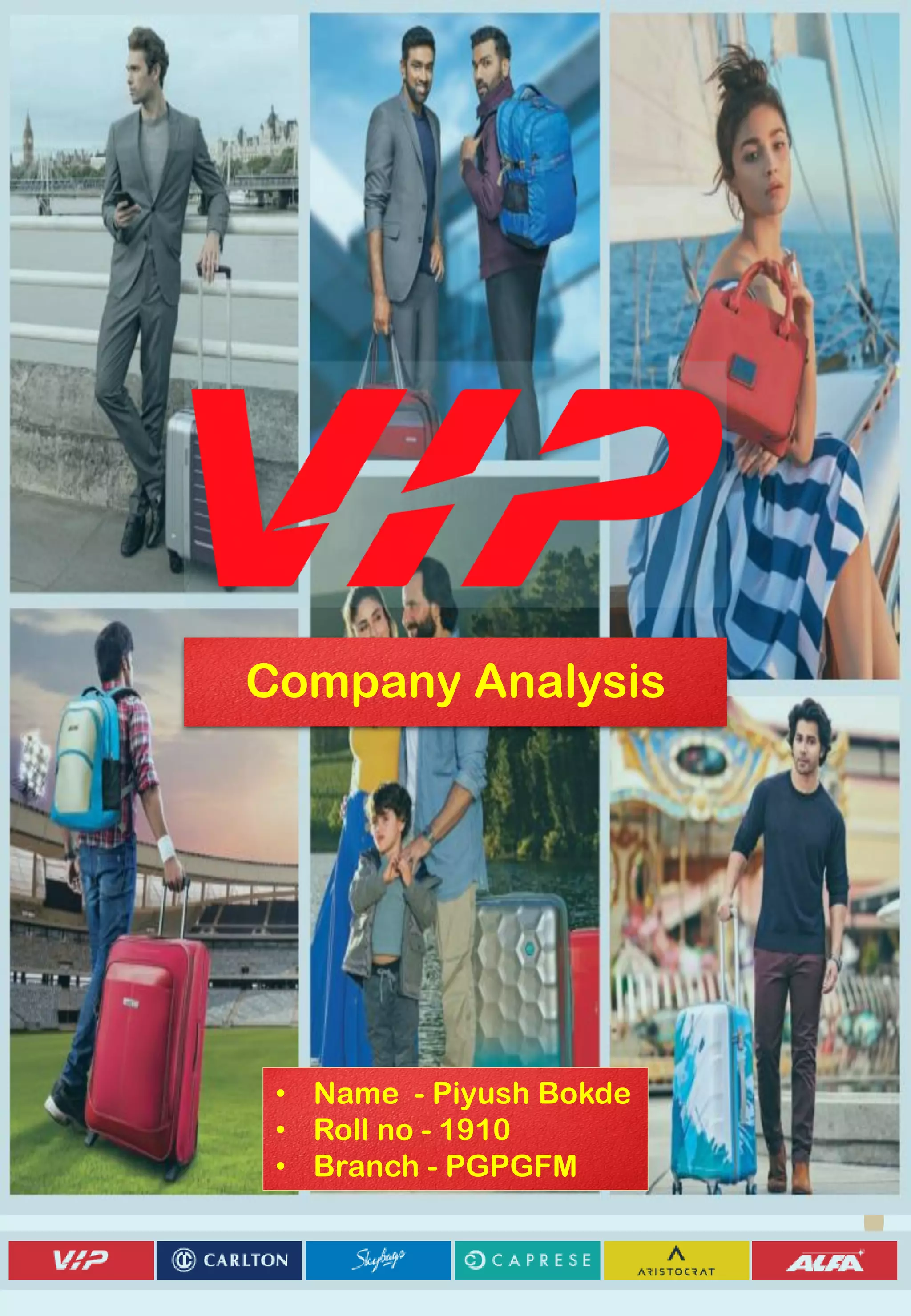 Vip industires report | PDF