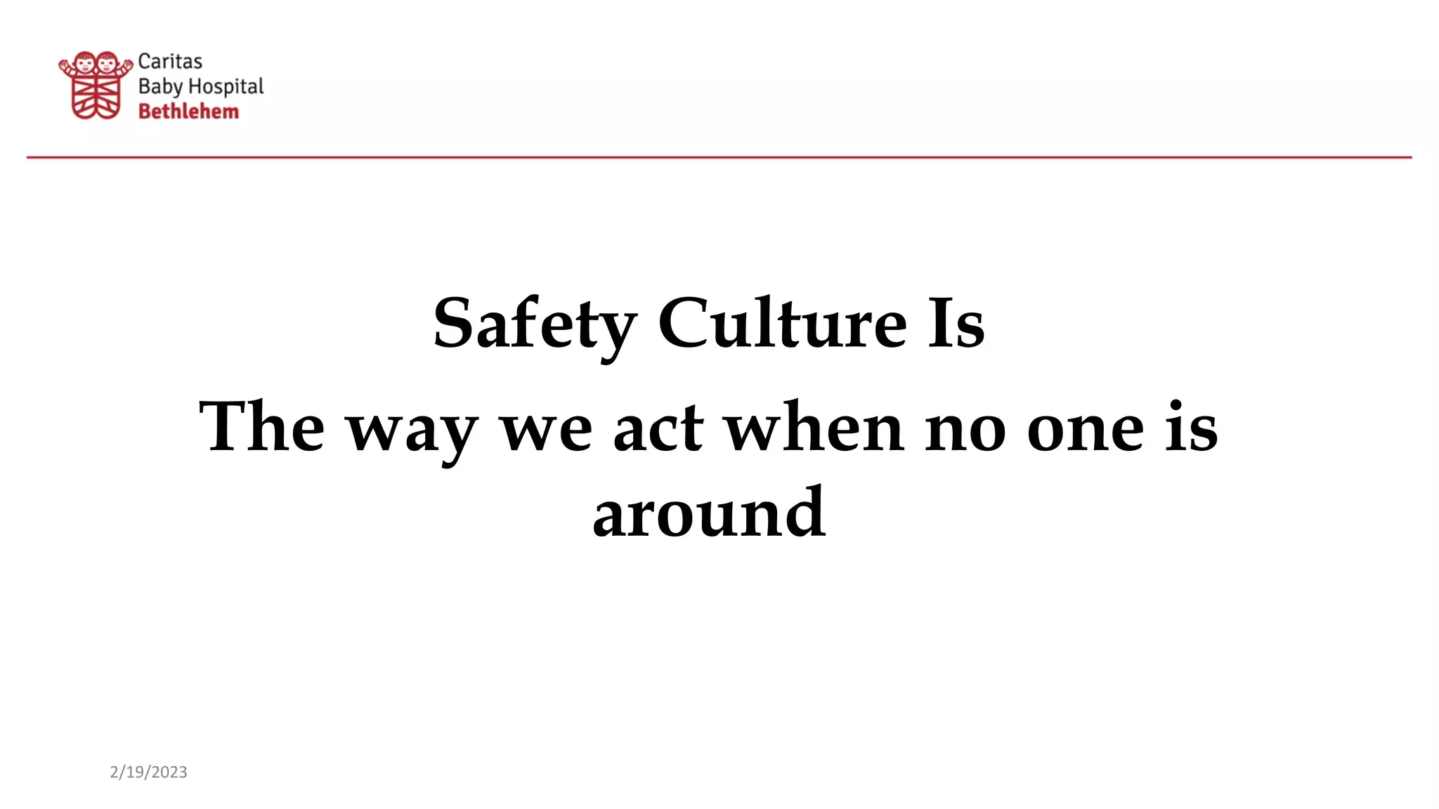 VIP Patient Safety Culture ppt.pptx