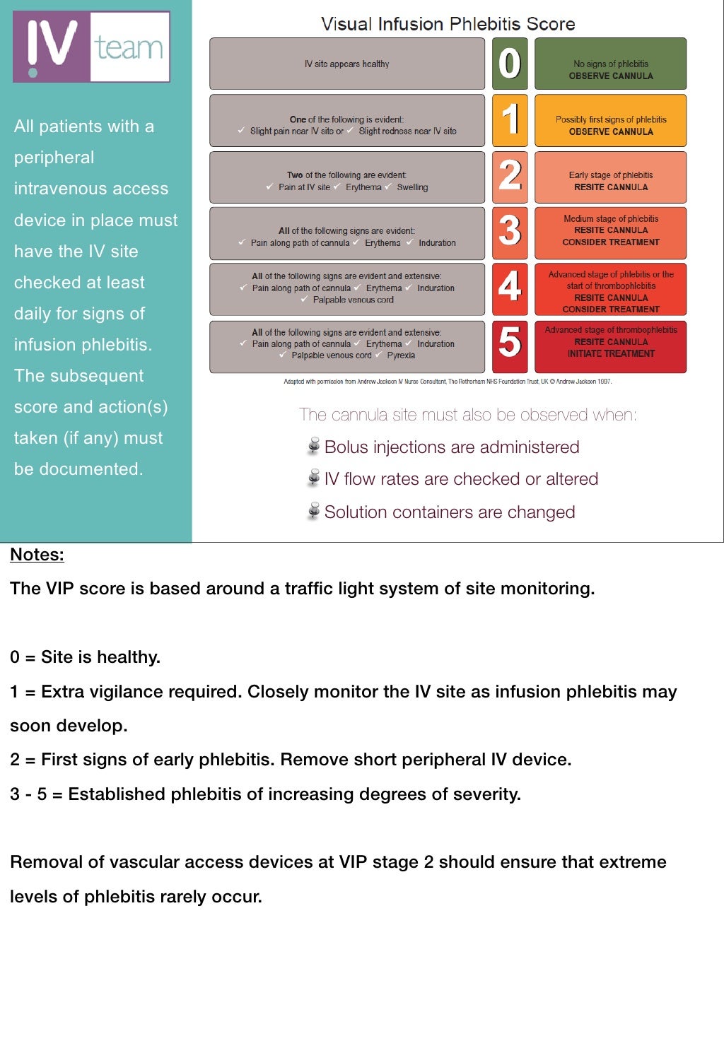 Notes to support the presentation 'Introduction to the Visual Infusio…