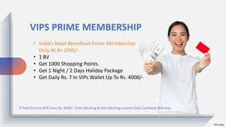 Vips Wallet Business Plan - 91365 11639 | PPTX
