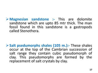 palaeozoic | PPT