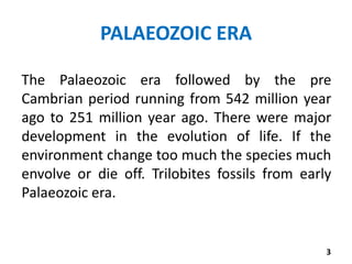 palaeozoic | PPT