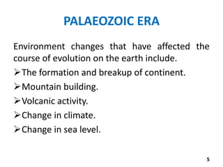 palaeozoic | PPT
