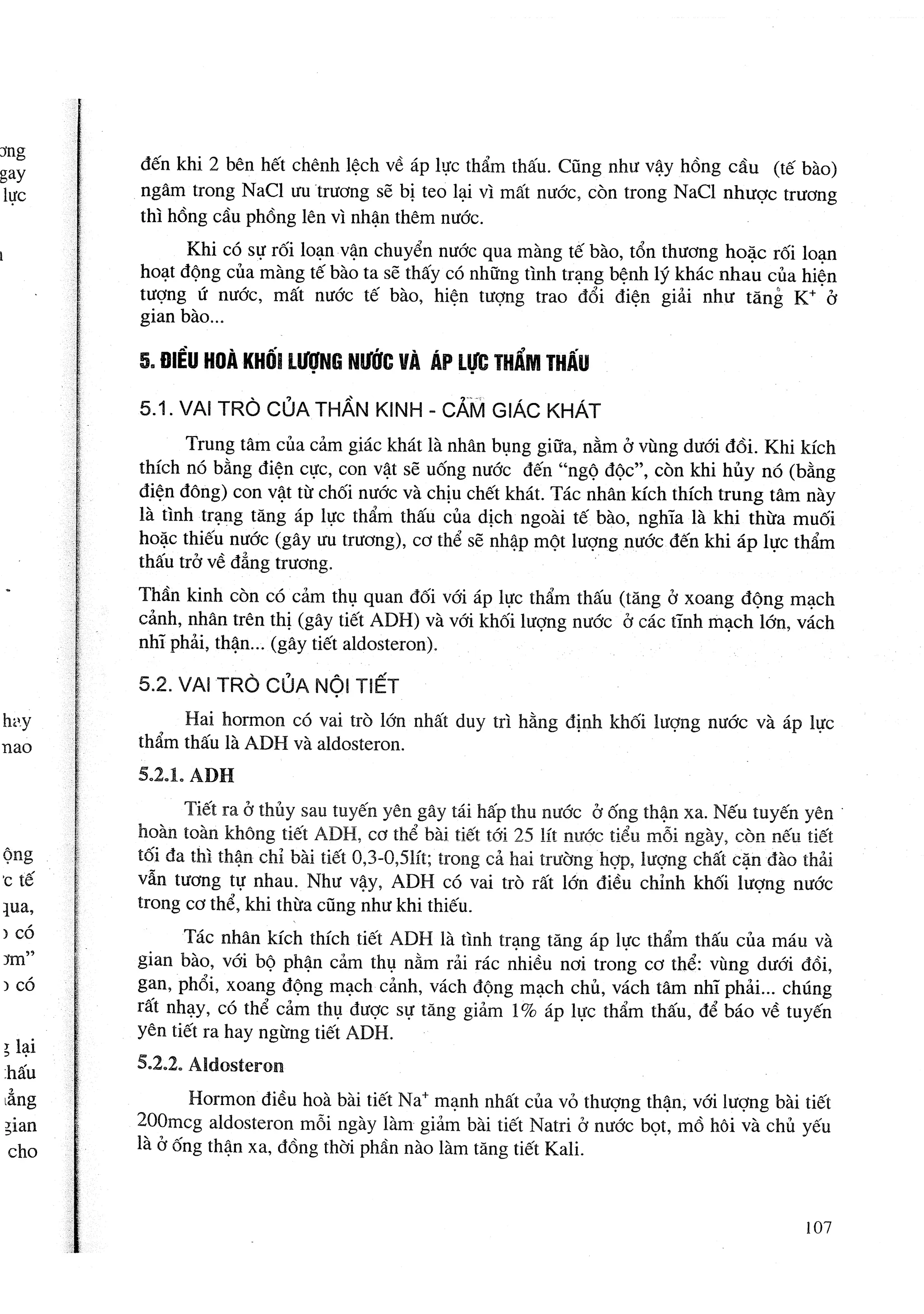 Sinh Ly Benh Hoc - DH Y HN.pdf cơ chế quan trọng | PDF