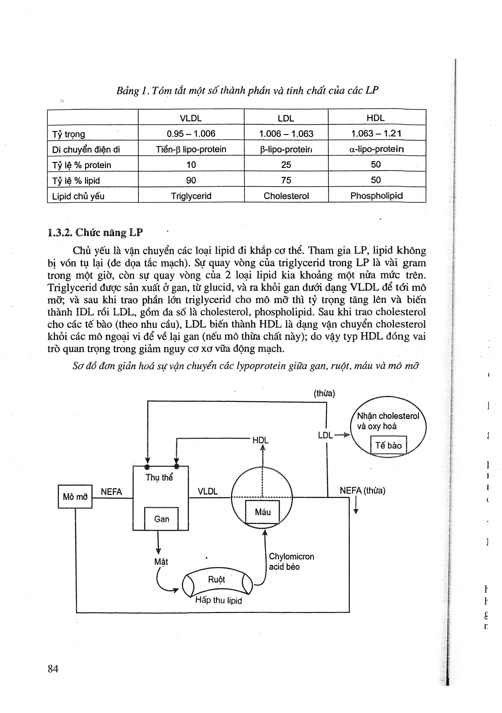 Sinh Ly Benh Hoc - DH Y HN.pdf cơ chế quan trọng | PDF