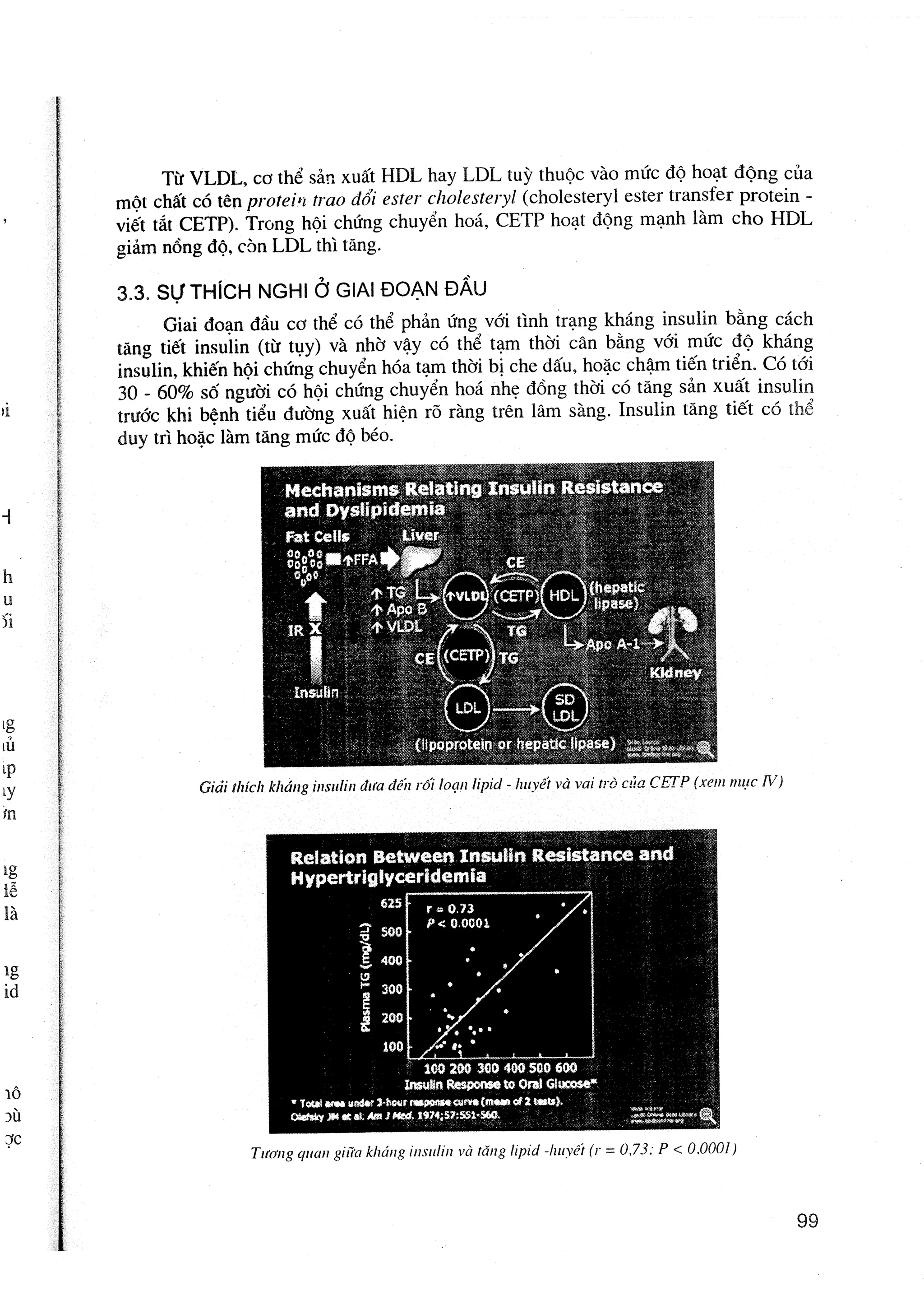 Sinh Ly Benh Hoc - DH Y HN.pdf cơ chế quan trọng | PDF