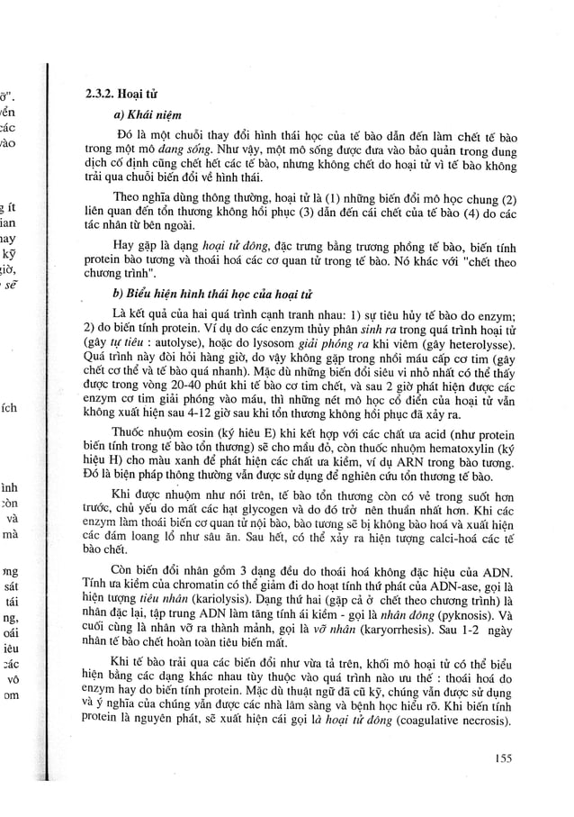 Sinh Ly Benh Hoc - DH Y HN.pdf cơ chế quan trọng | PDF