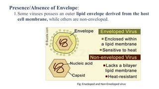 Anti-Viral Agents.pptx Medicinal Chemistry III, B Pharm SEM VI | PPTX