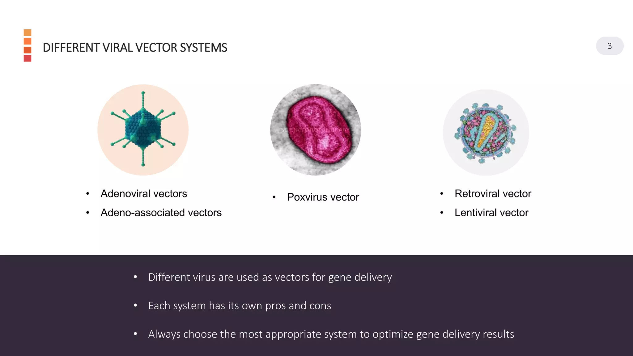 Viral Based Gene Delivery System for Car-t Cell Engineering | PPTX