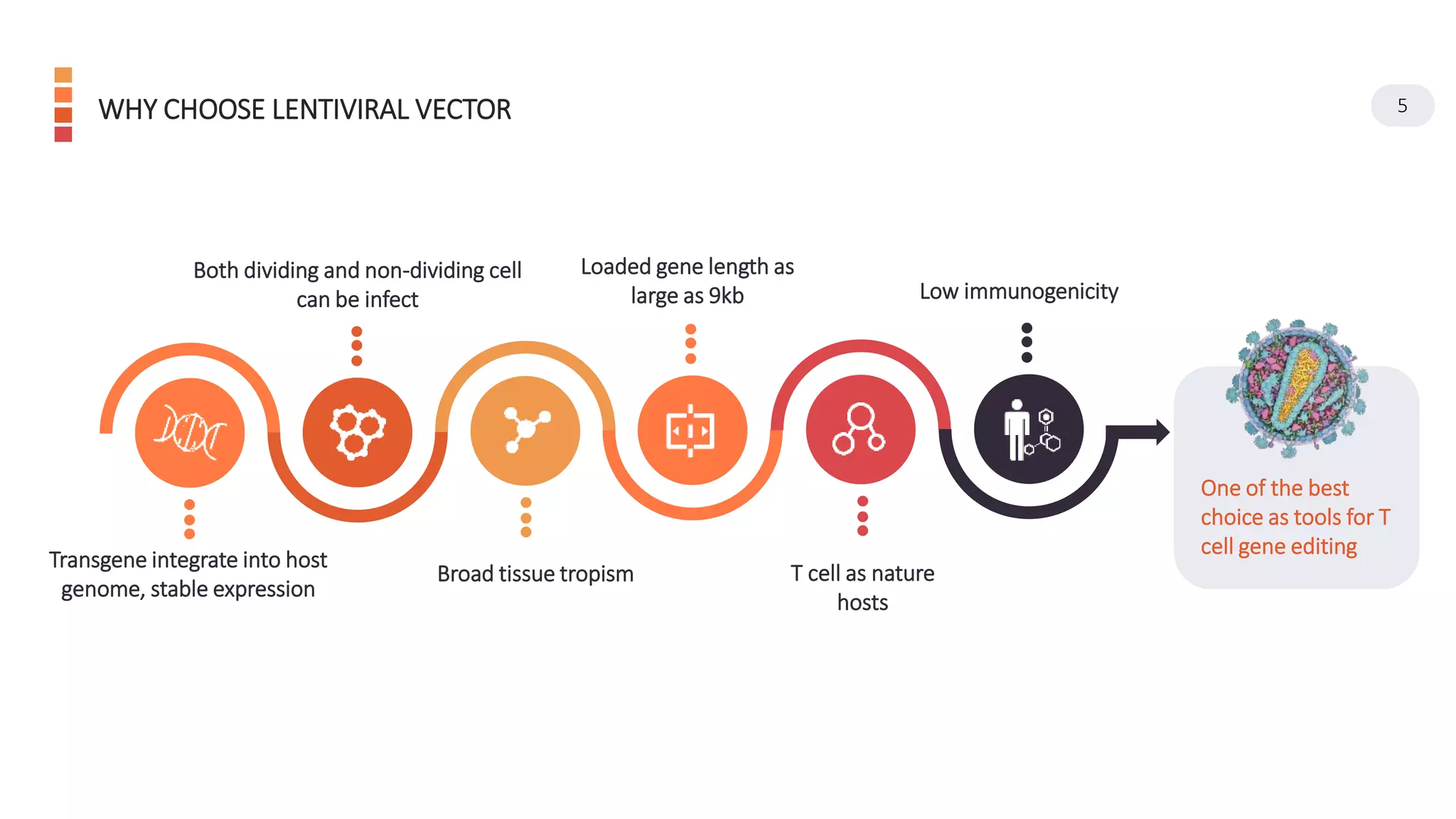 Viral Based Gene Delivery System for Car-t Cell Engineering | PPTX