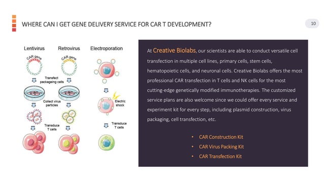 Viral Based Gene Delivery System for Car-t Cell Engineering | PPTX | Genetics | Science