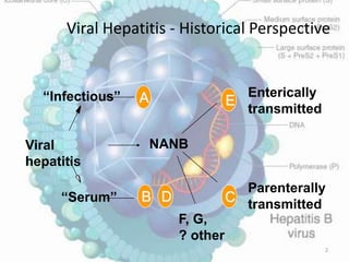 Viral hepatitis- At a glance.ppt