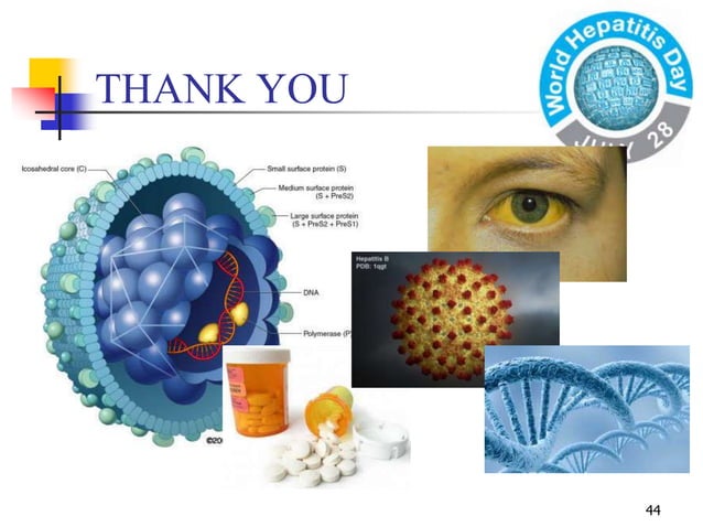 Viral hepatitis- At a glance.ppt