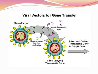 VIRAL AND NON VIRAL GENE TRANSFER | PDF