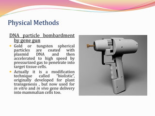 VIRAL AND NON VIRAL GENE TRANSFER | PDF