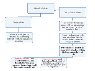 Viral assay | PPT