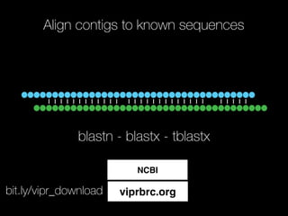 Viral biodiversity in rodents | PPT