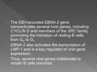 Viral carcinogenesis copy | PPTX