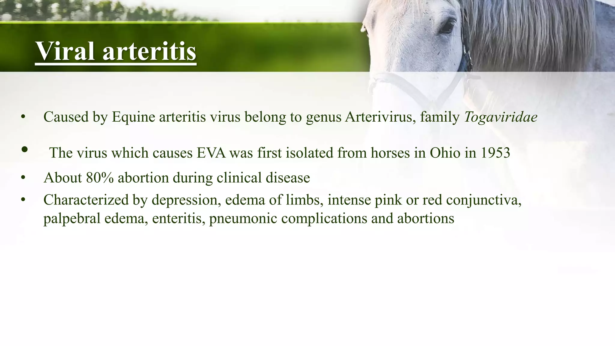 Viral causes of reproductive diseases in equine | PPTX