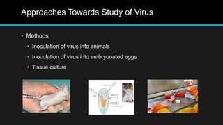 Viral Cell Culture by Arijit Pani | PDF