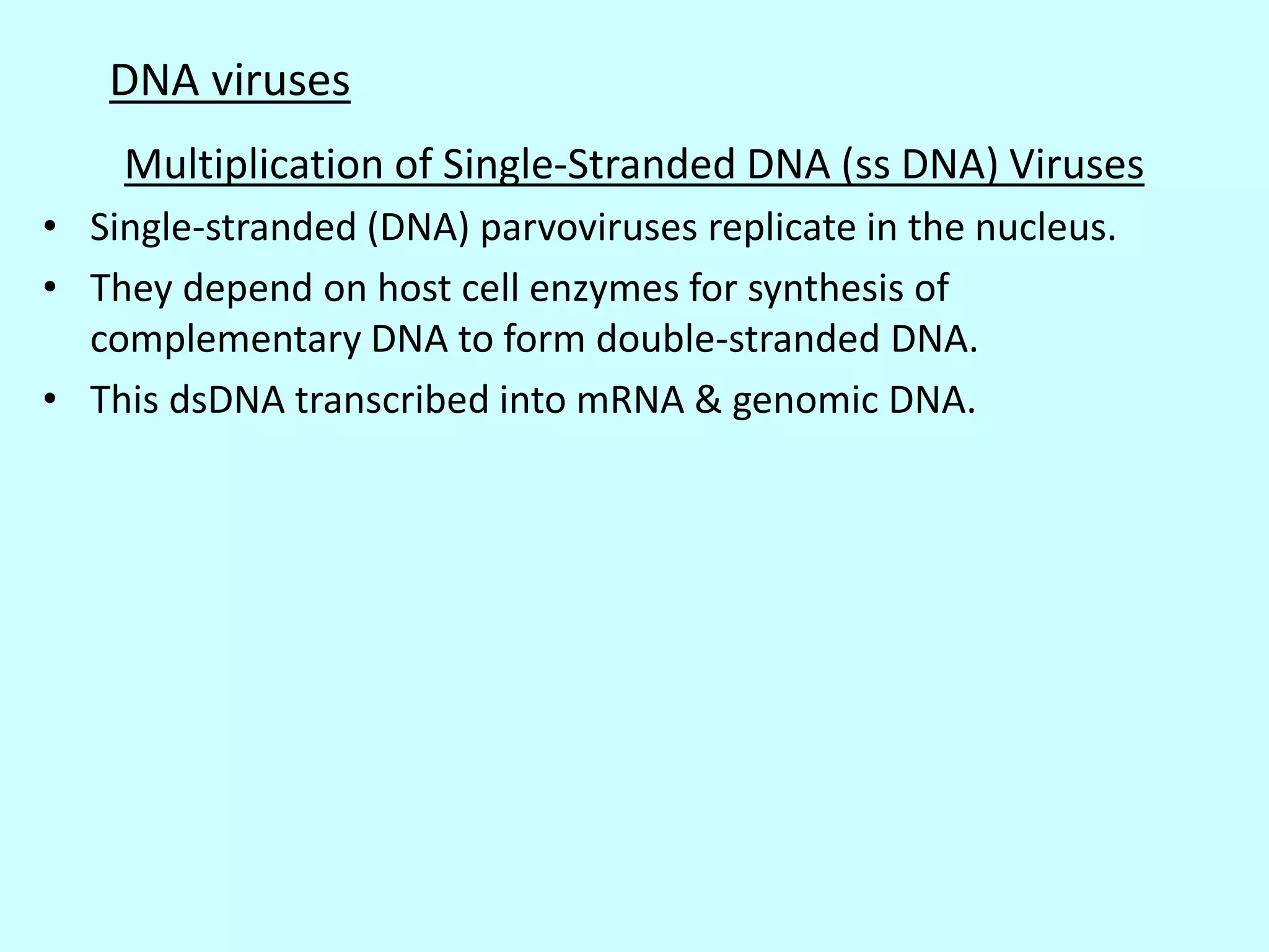 Viral classification and Types of Replication in virus | PPTX