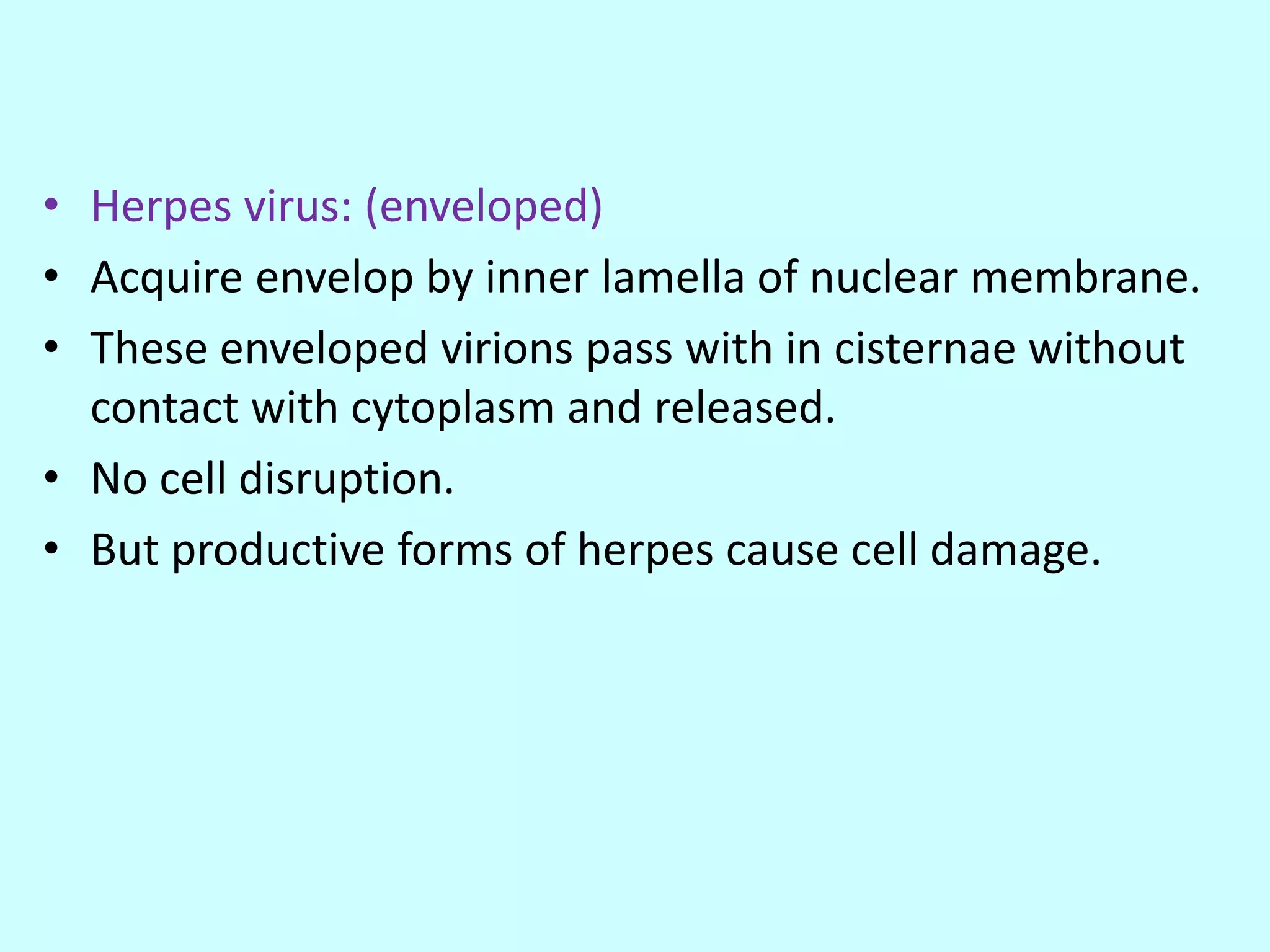 Viral classification and Types of Replication in virus | PPTX