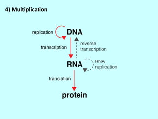 Viral classification and Types of Replication in virus | PPTX