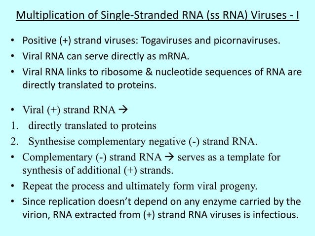 Viral classification and Types of Replication in virus | PPTX ...