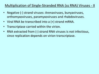 Viral classification and Types of Replication in virus | PPTX