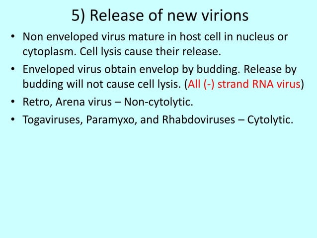 Viral classification and Types of Replication in virus | PPTX ...