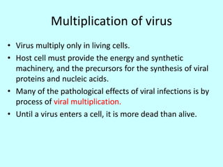 Viral classification and Types of Replication in virus | PPTX