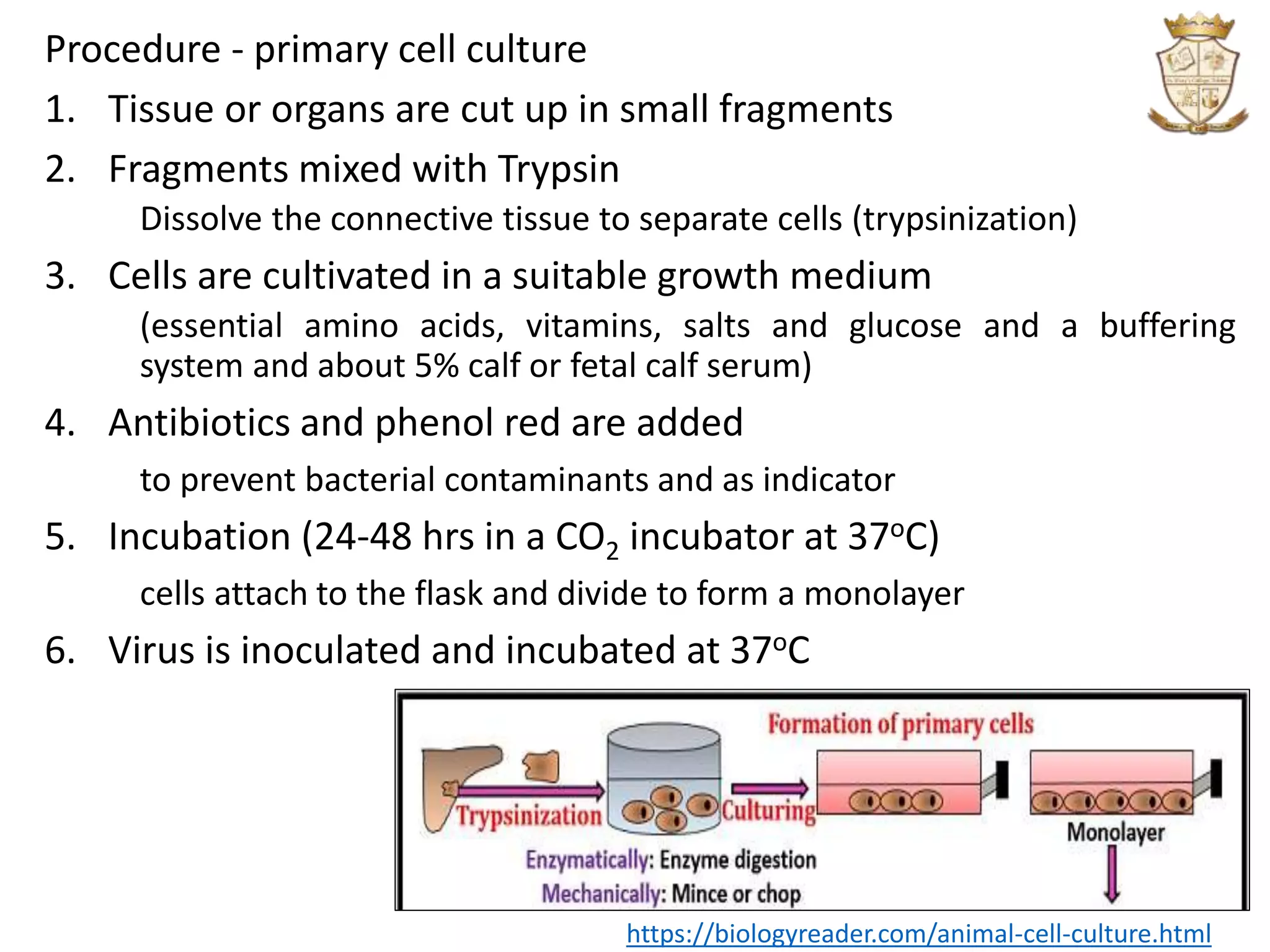 Viral cultivation techniques | PPTX