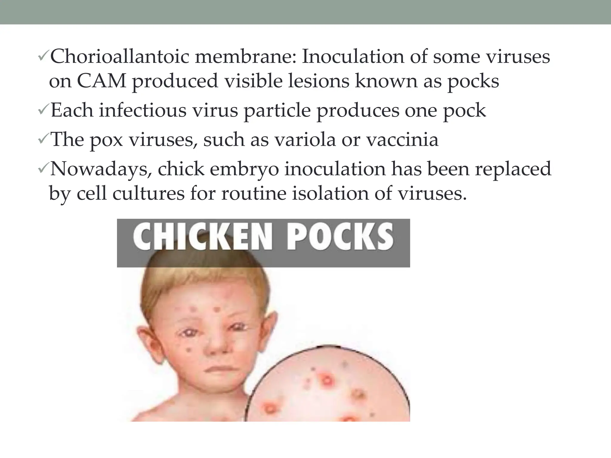 Medical laboratory course Viral diagnosis.ppt
