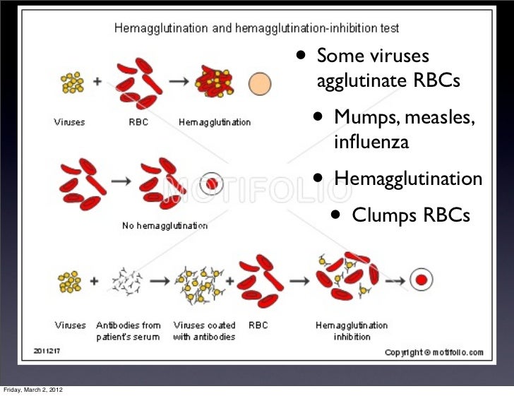 Viral diagnostics eac for finals