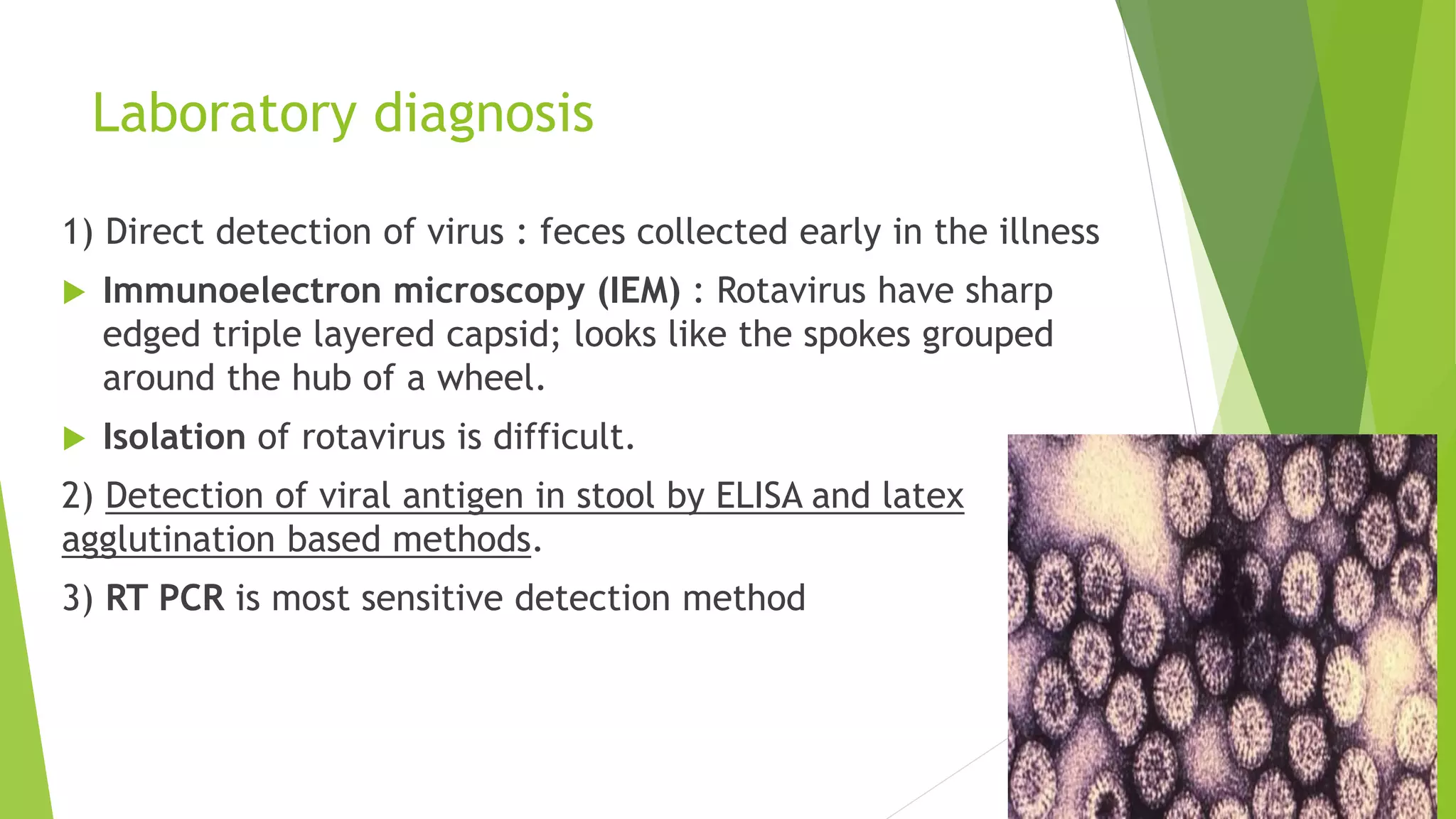 Viral diarrhea | PPTX | Digestive Disorders | Diseases and Conditions