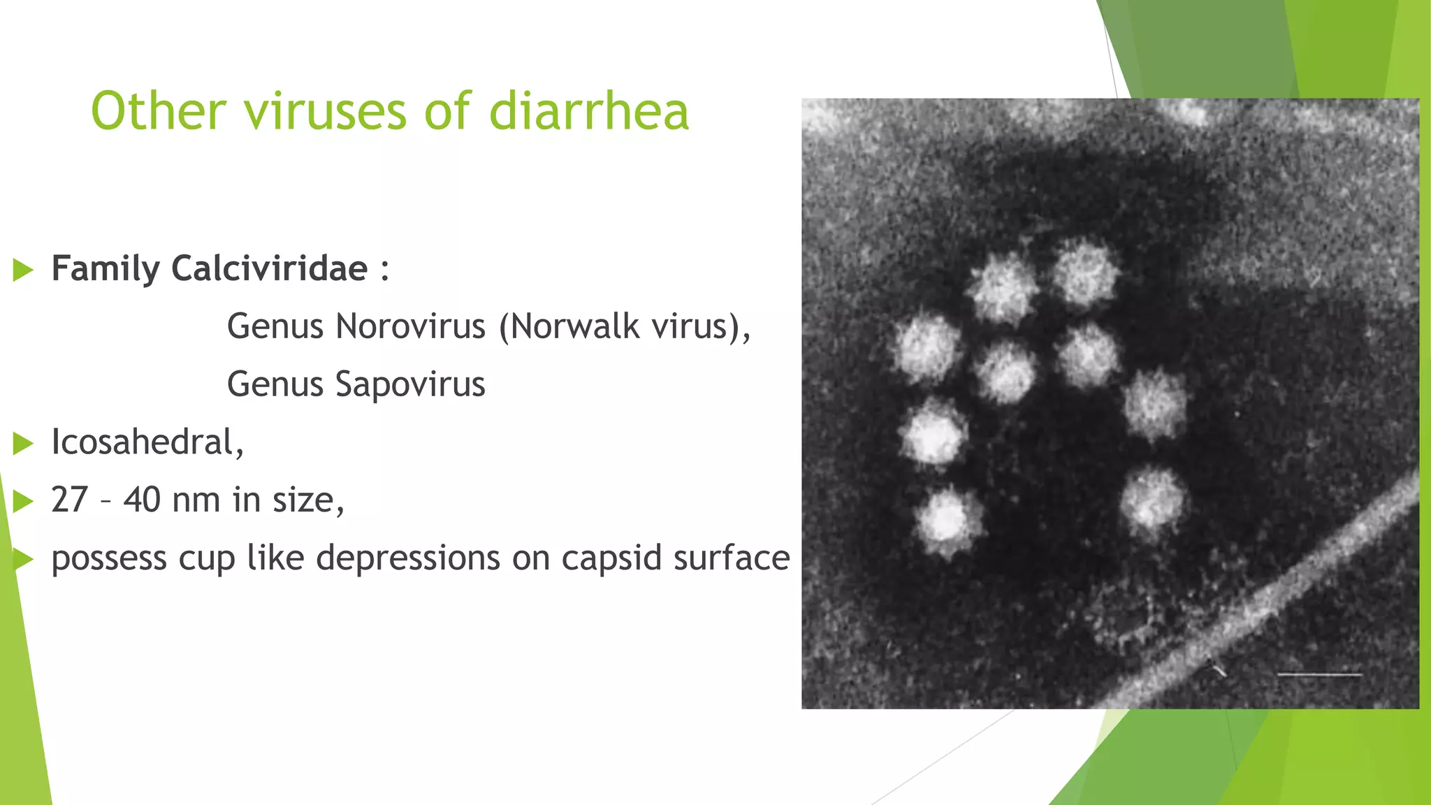 Viral diarrhea | PPTX