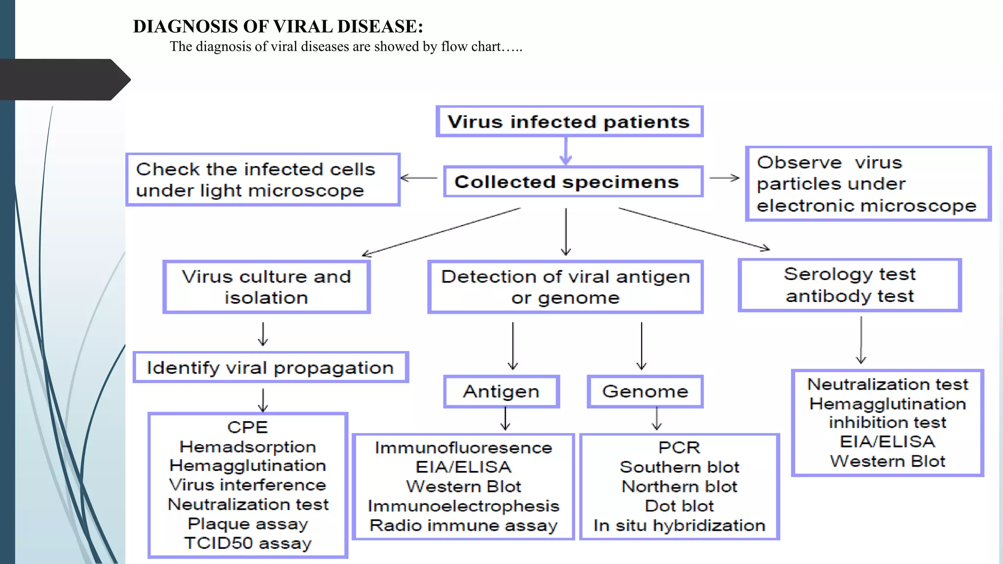 Viral disease | PPTX