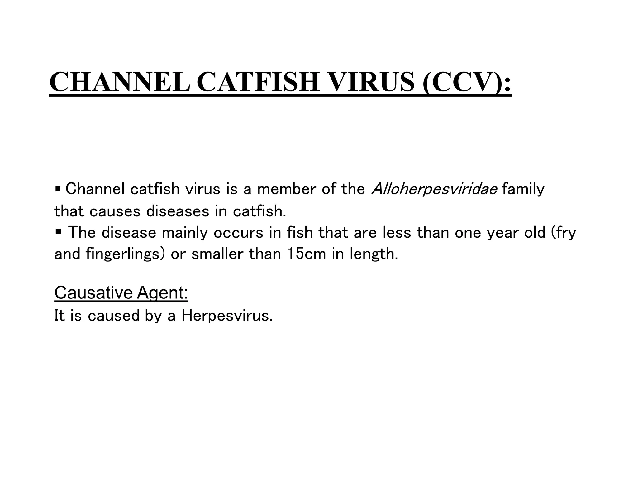 Viral disease in fishes.pptx