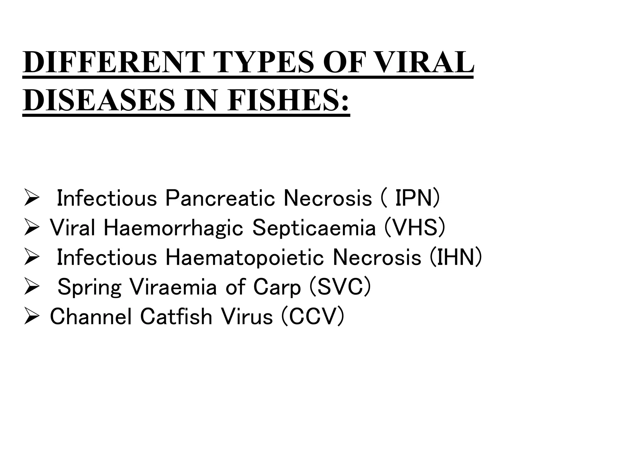Viral disease in fishes.pptx