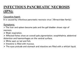 Viral disease in fishes.pptx