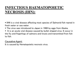 Viral disease in fishes.pptx