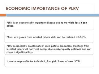 Viral disease of field crops and its management.pptx