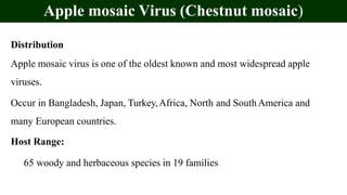 viral diseases and its imrportance on it | PPT