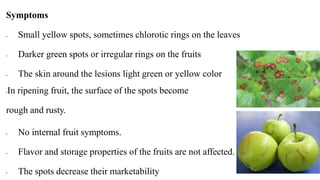 viral diseases and its imrportance on it | PPT