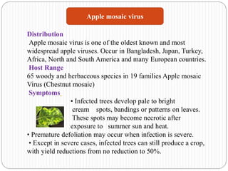 Viral diseases | PPT