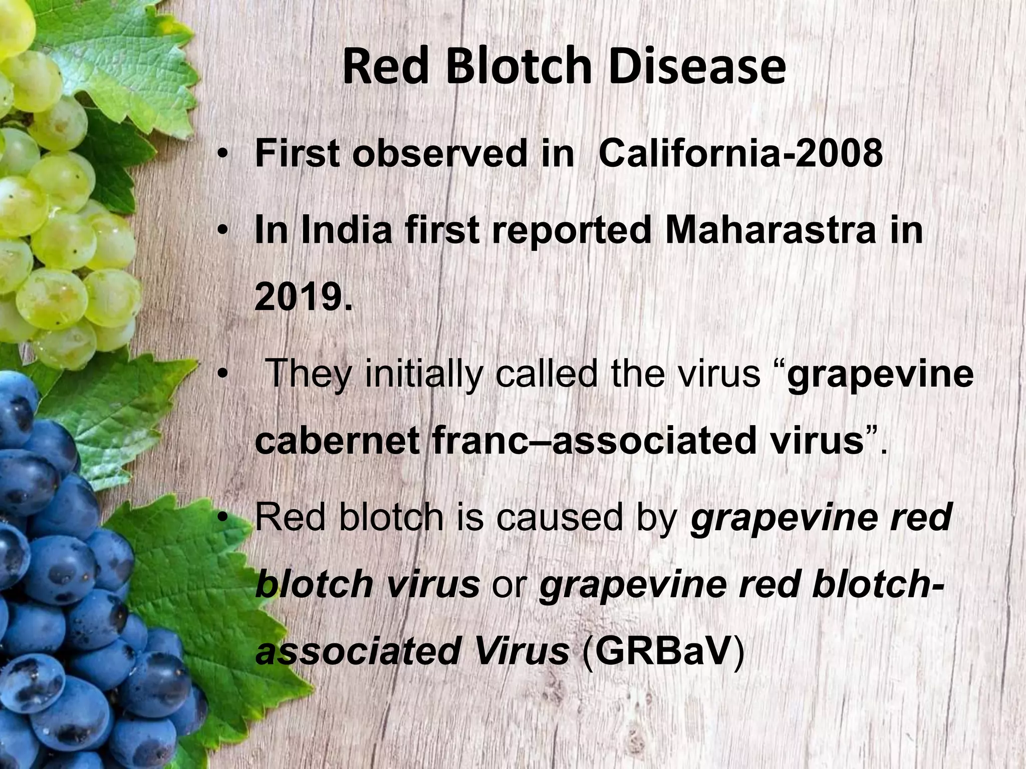 Grapevine Major Viral diseases | PPTX